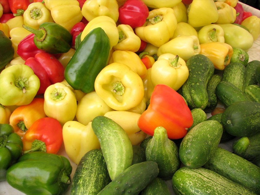 Paprika gojenje in vzgoja - Zeleni svet